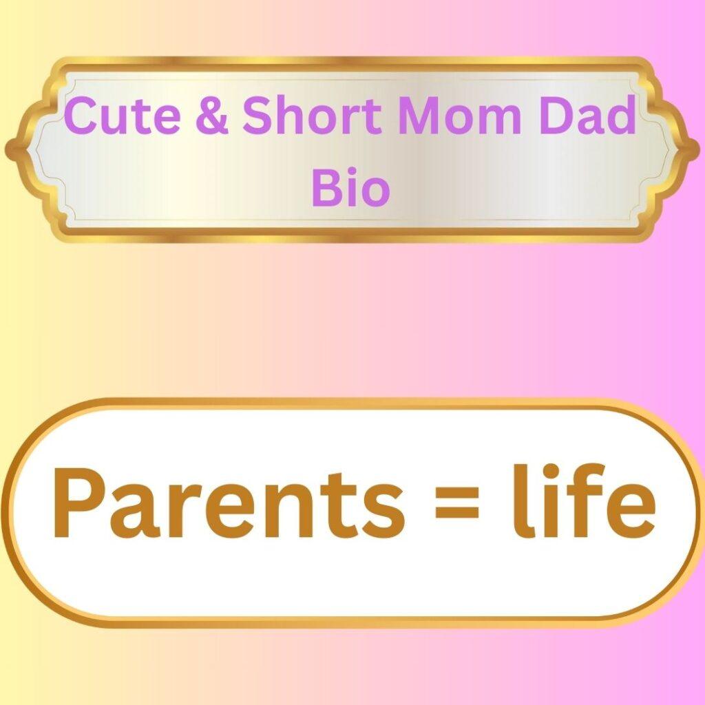 301+ Mom Dad Bio for Instagram | Emotional, Loving & Stylish - CaptionsHive